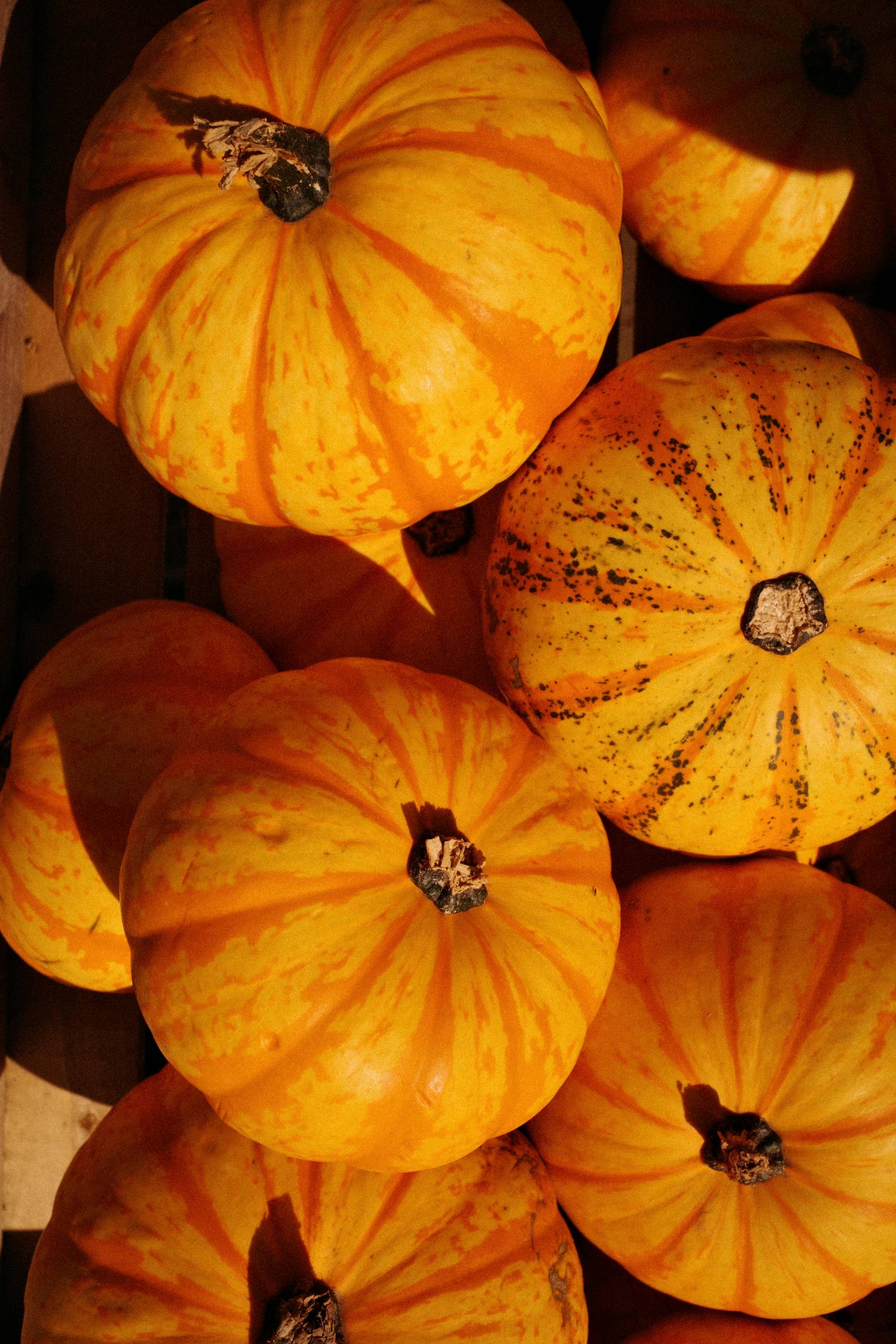 Fall Flavors Delivered: MacroFoods.ca Delivers on Seasonal Trends ...